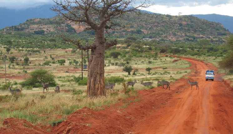 När och Vart ska man åka till Kenya? Klimat och Väder