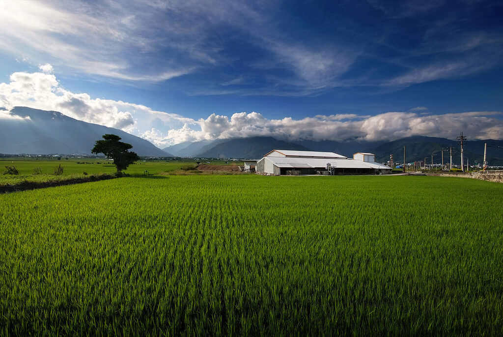 När och Vart ska man åka till Taiwan? Klimat och Väder